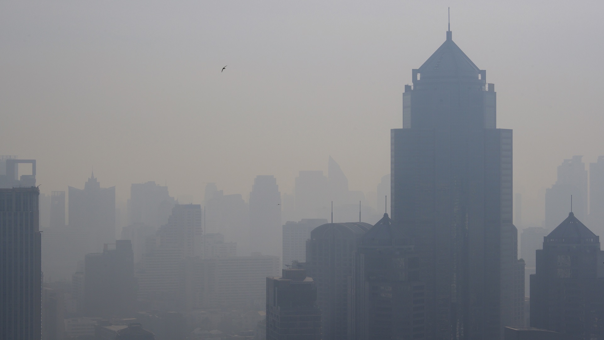 Air pollution clouds Bangkok as dust dome forms over city